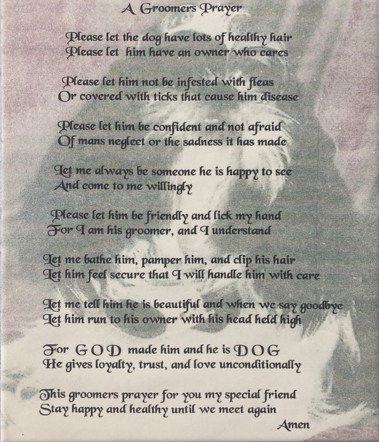 Groomobile | Dog & Cat Grooming in St. Petersburg, FL